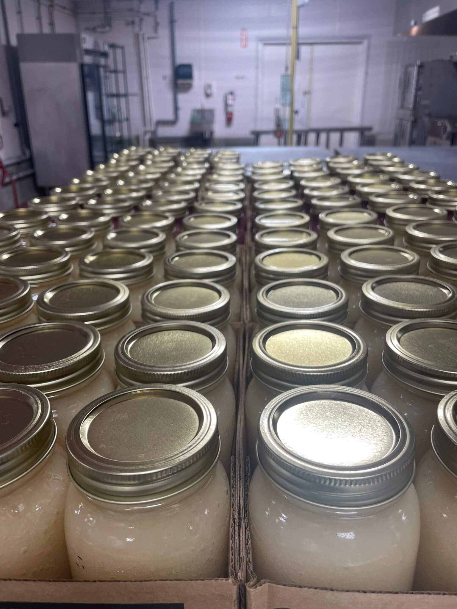 Sea Moss Manufacturing and Co-Packing Services – World Moss