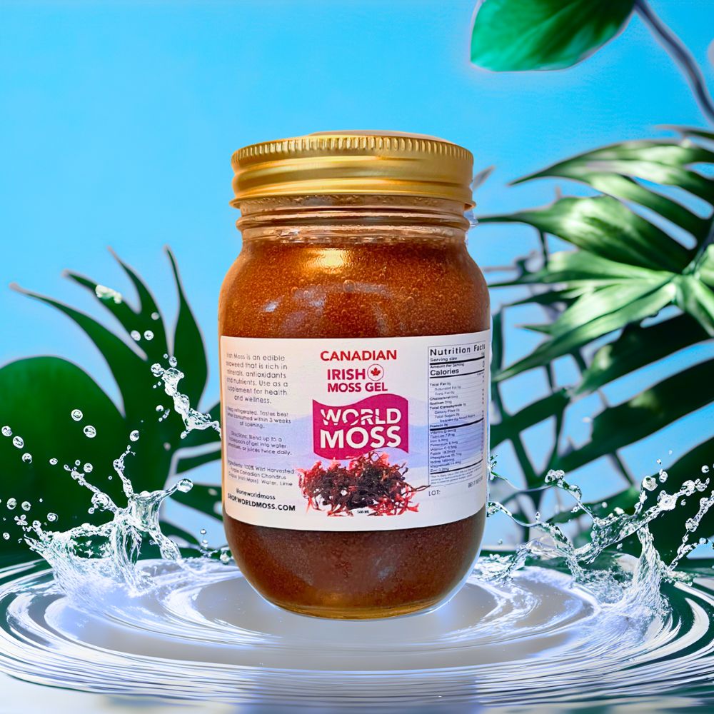 Plain Sea Moss Gel - Wild Caribbean Sea Moss Gel